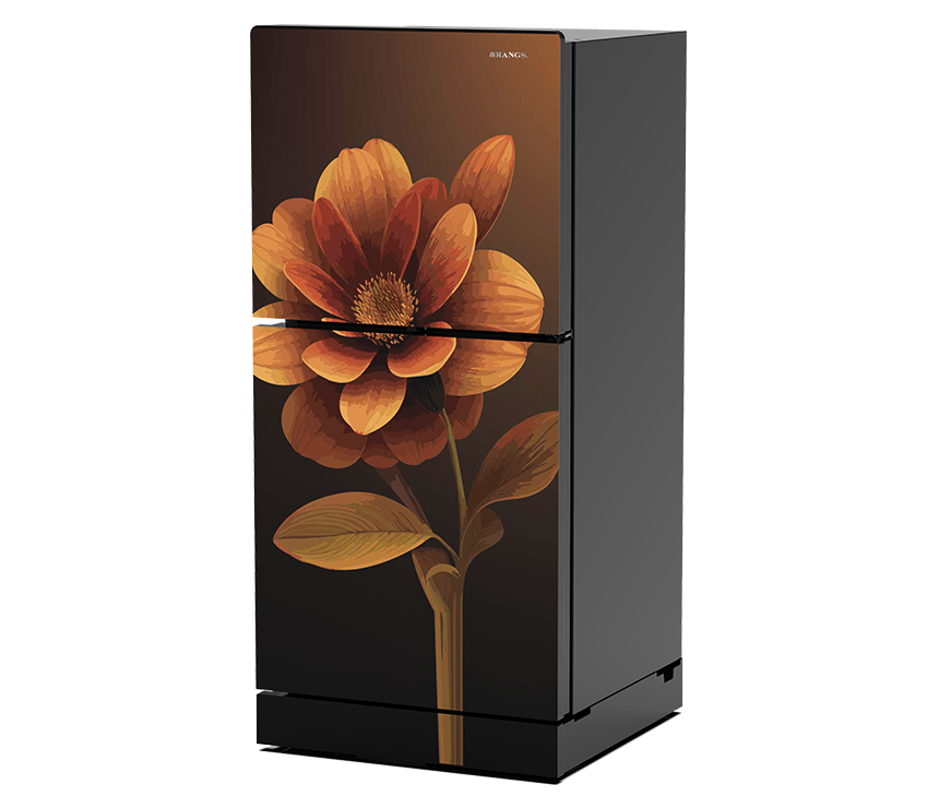 Rangs RTR-170D0A1WX - Crayon Flower 170 Ltr Refrigerator