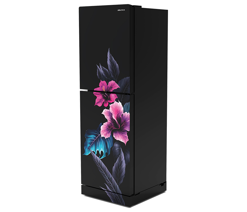 Rangs RBR-258D0A1WX - Catkin Flower 258 Ltr Refrigerator.