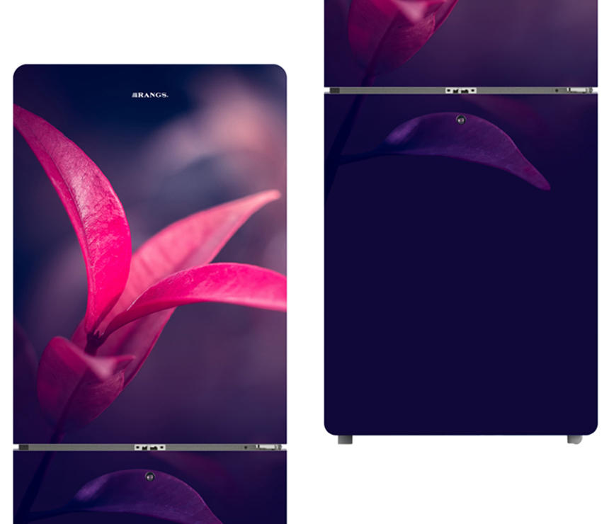 Fridge – RR-201BTA 201L FROST REFRIGERATOR – Rangs Electronics Ltd.