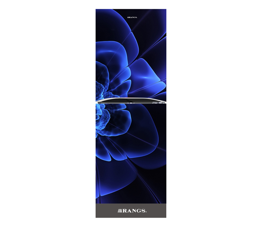 Rangs Electronics Ltd. | Rangs Electronics Ltd.