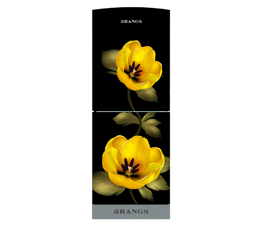 Rangs 253 Liter Frost Refrigerator