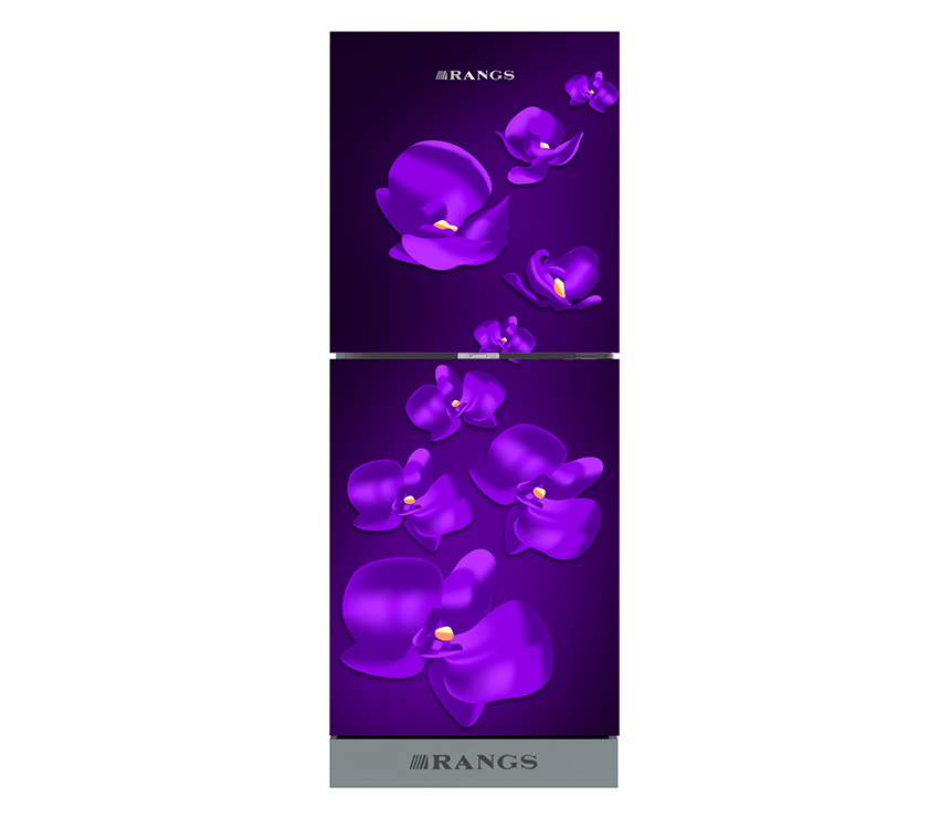 Rangs 236 Liter Frost Refrigerator