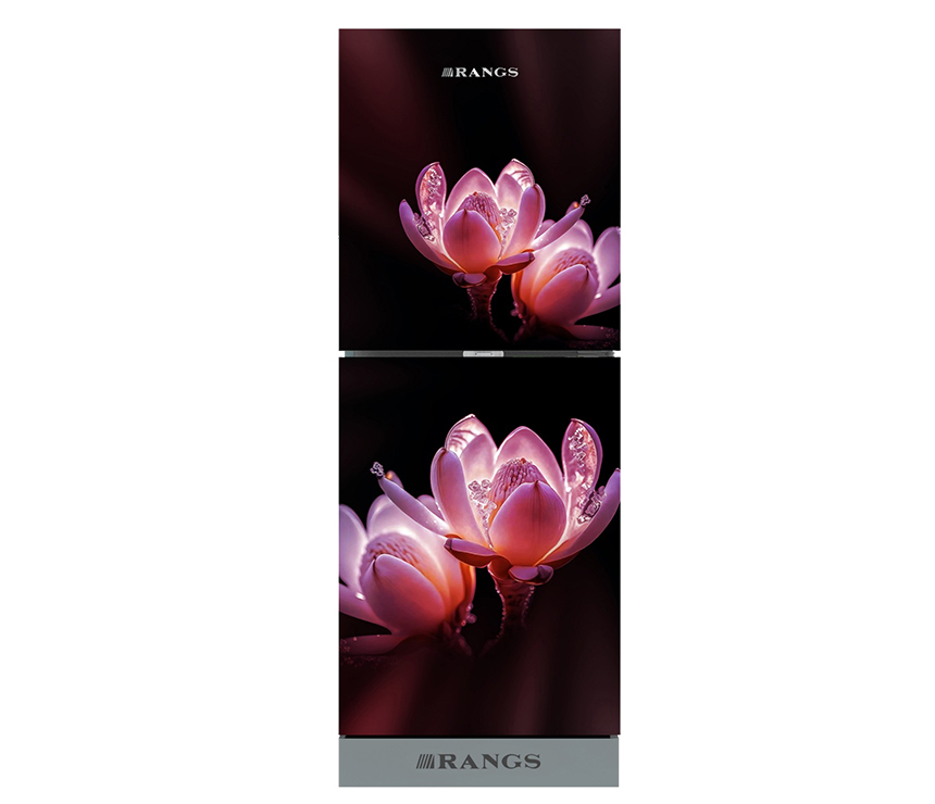 Rangs Electronics Ltd. - Official Distributor of Sony, LG, Kelvinator